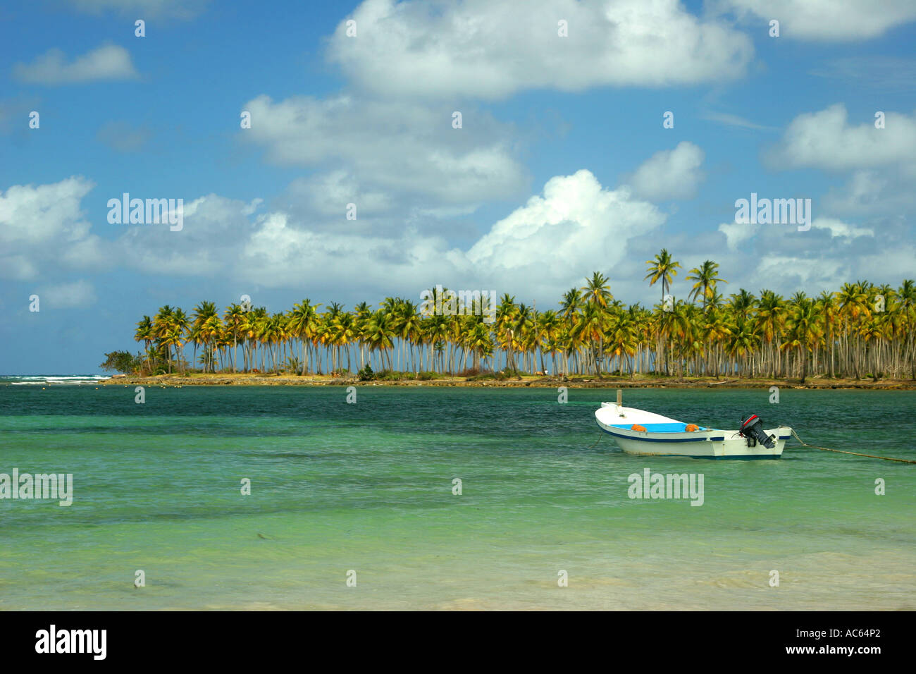 A small motor boat over a deep green sea with palm trees at the back in ...