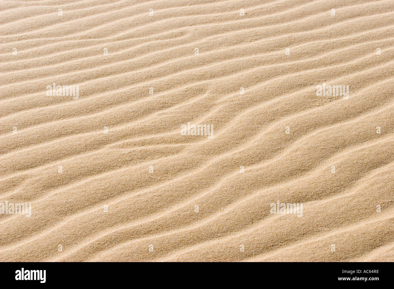 Sand ripples texture Stock Photo - Alamy