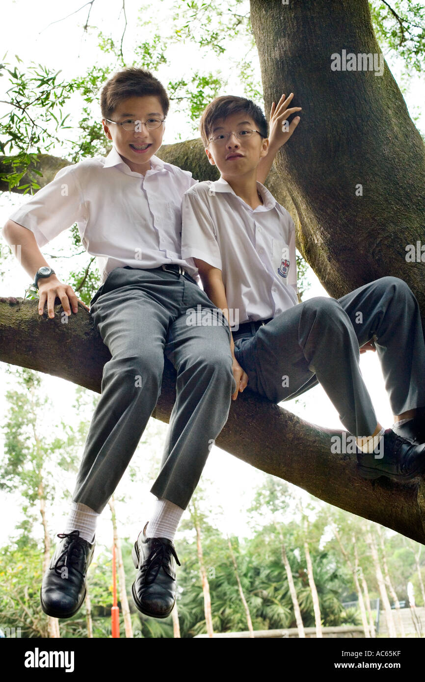 twin boys sitting in a tree Stock Photo - Alamy