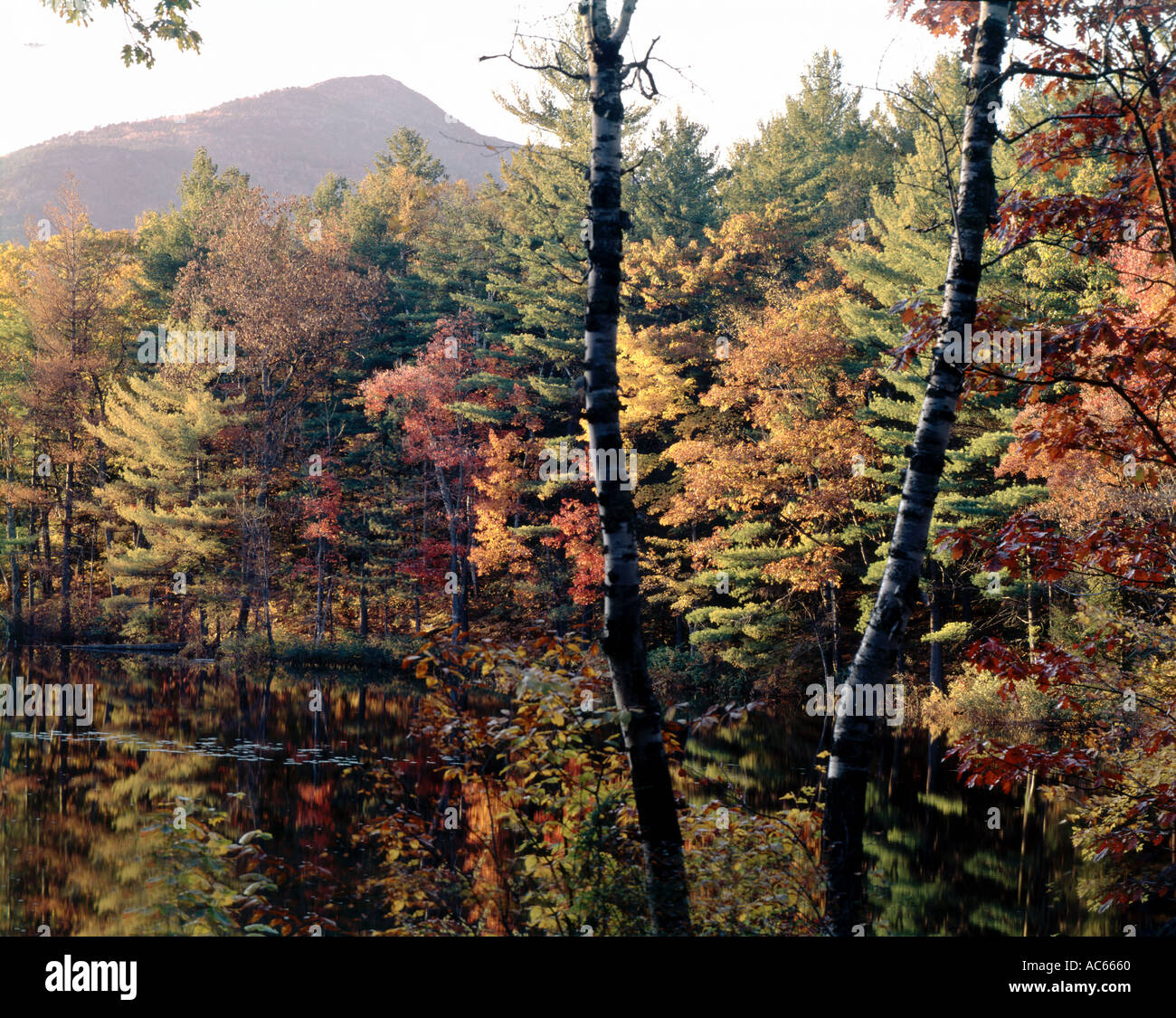 Red Eagle Pond in New Hampshire showing autumnal colors Stock Photo - Alamy