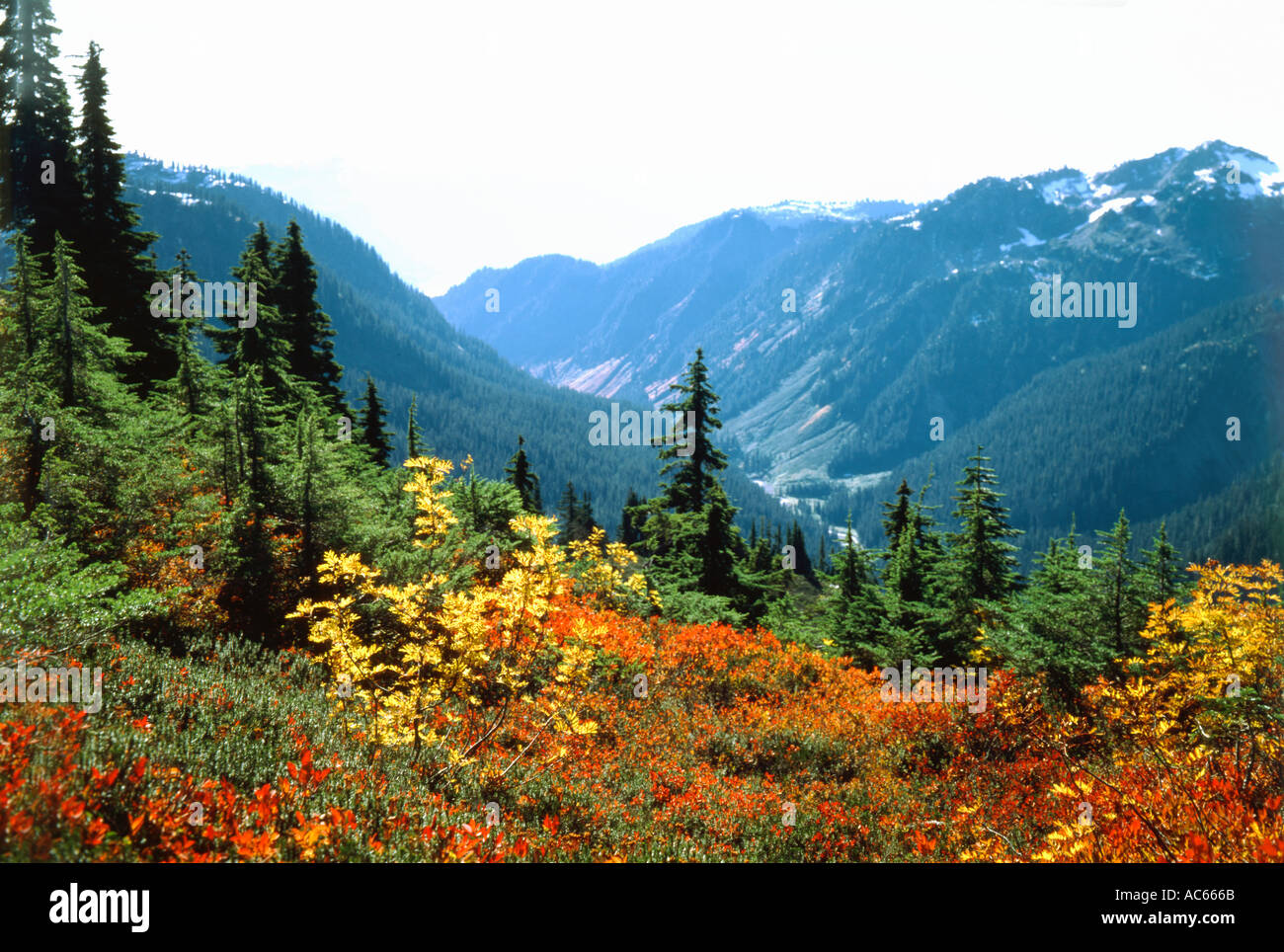 Fall colors the hillsides of the Cascade Mountains east of Bellingham ...
