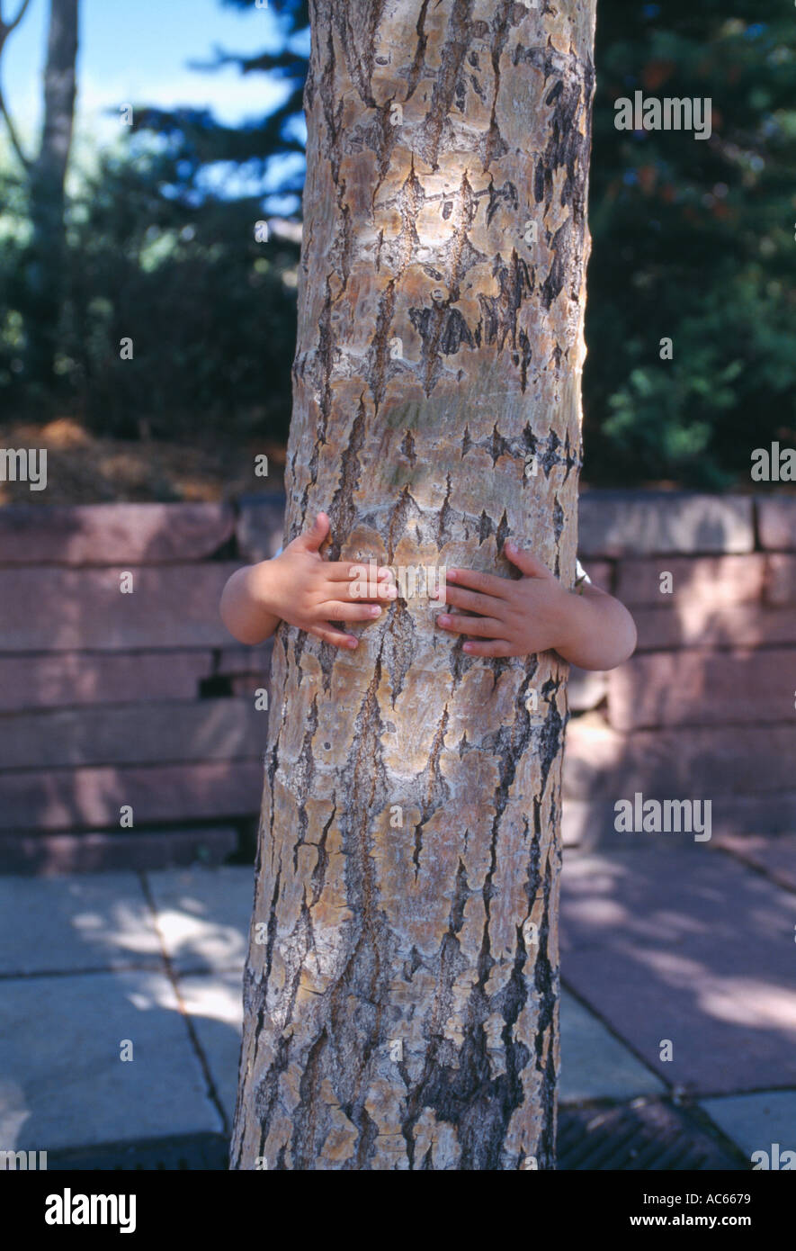 Child hiding behind tree while hugging it Estes Park CO Stock Photo - Alamy