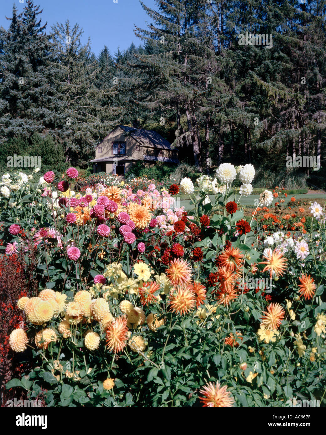 Shore Acres State Park near Coos Bay in Oregon showing a late summer ...