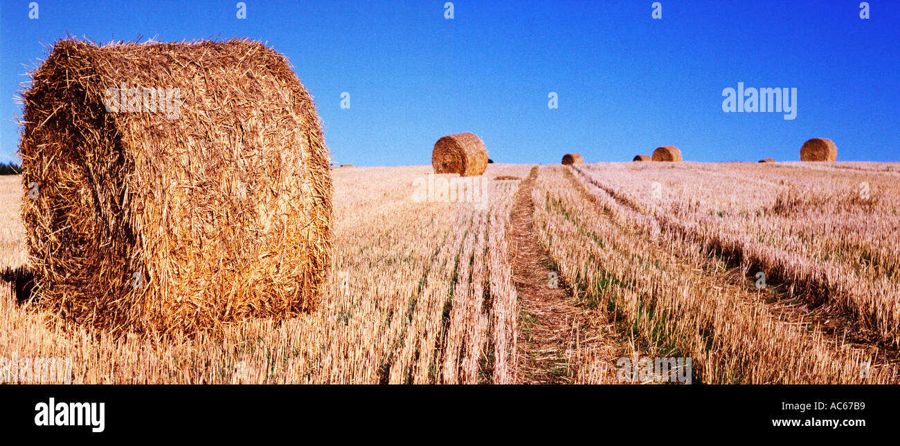 View of straw bales on field hi-res stock photography and images - Alamy