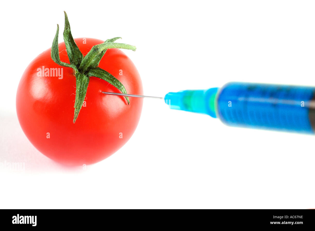 Tomato being injected with hypodermic syringe GM food concept Stock ...