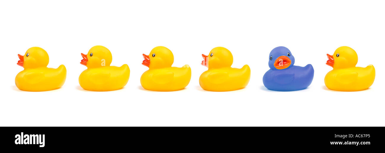 Rubber Ducks In A Row