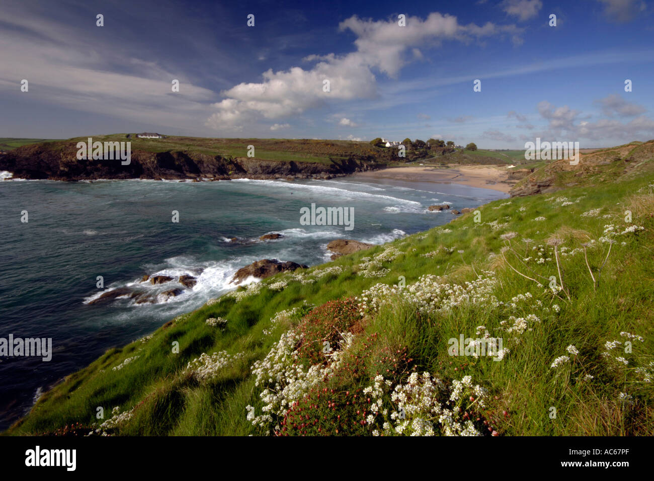 Poldhu Cove, Lizard peninsula, Cornwall, England, UK Stock Photo - Alamy