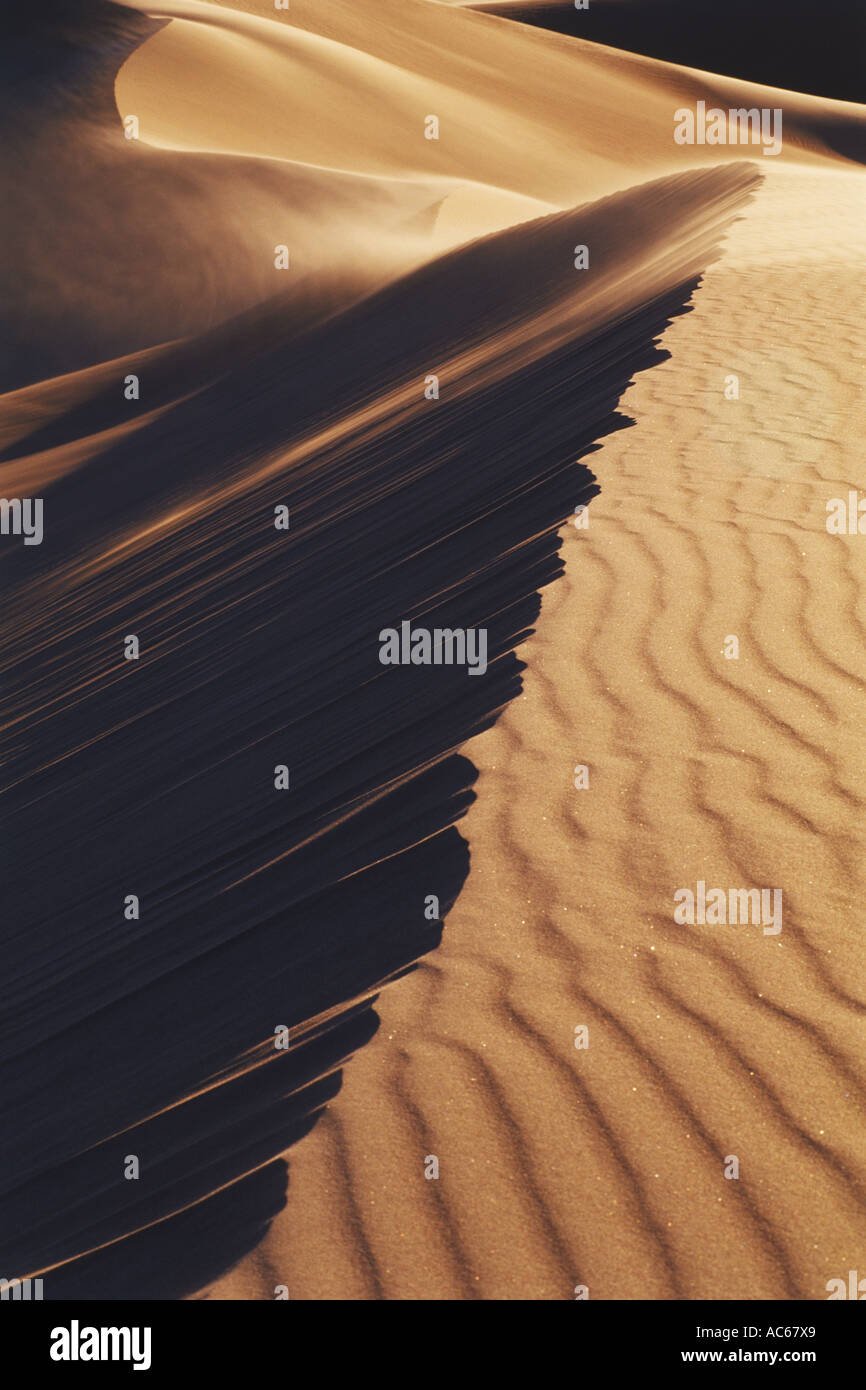 Wind creating waves across sand dune in low light Stock Photo - Alamy