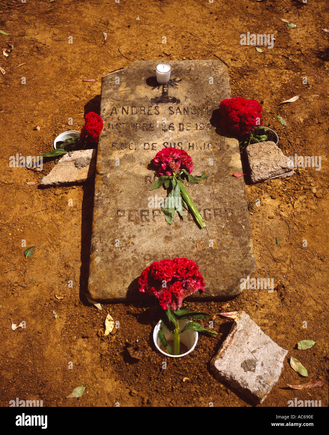 Single grave with red carnations, Day of the Dead Oaxaca Mexico Stock ...