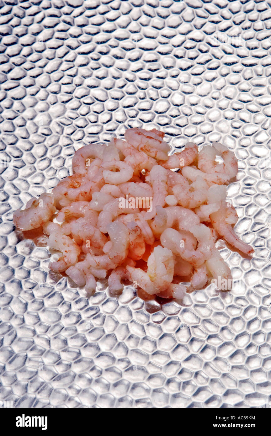 Cooked peeled prawns Stock Photo - Alamy
