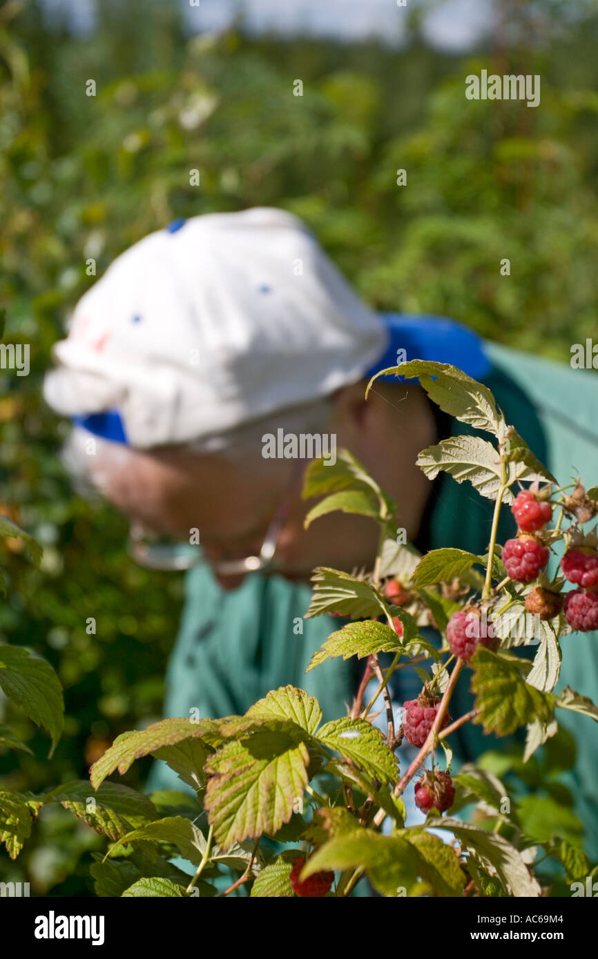 Elderly aged old mature matured hi-res stock photography and images - Alamy