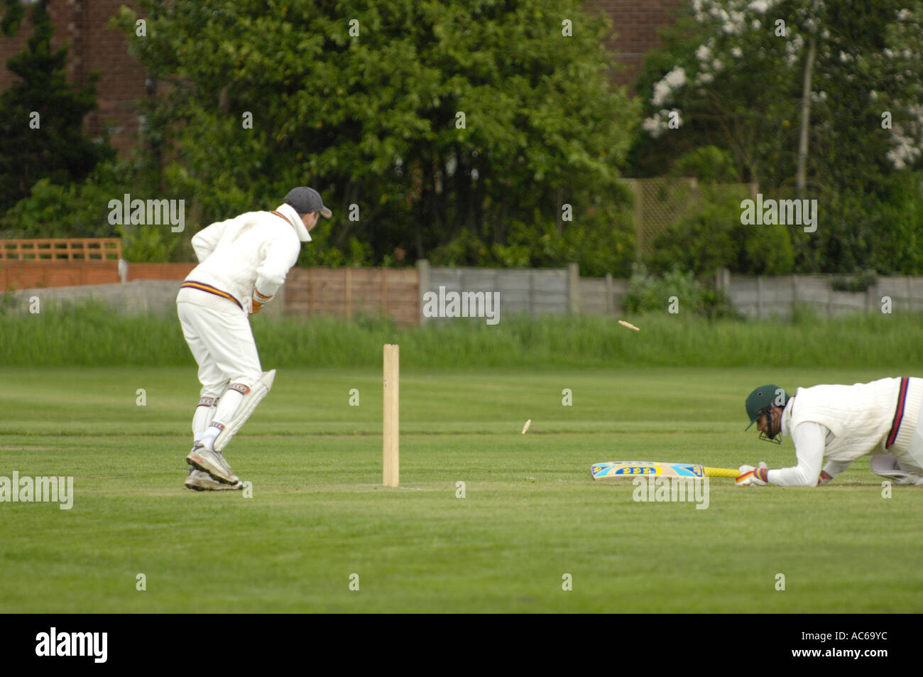 Stumped hi-res stock photography and images - Alamy