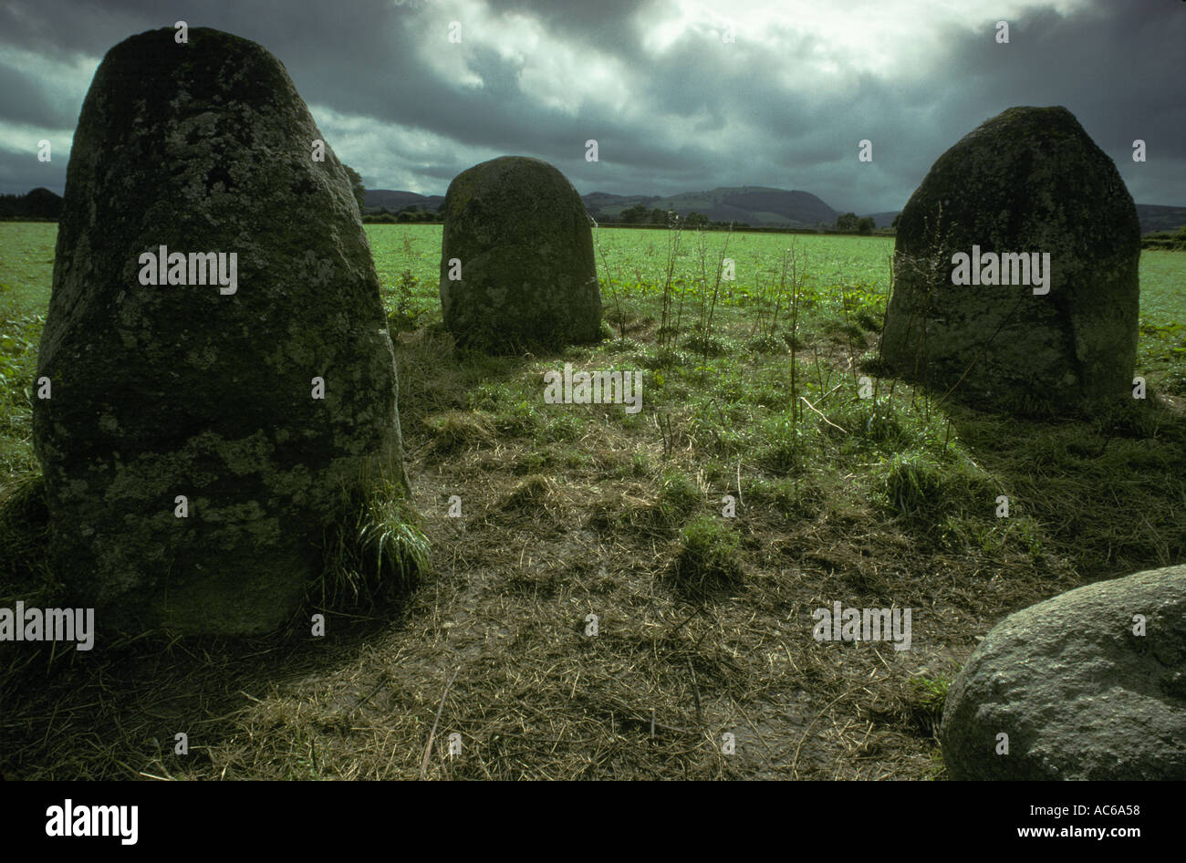 The Four Stones, Old Radnor, Powys Wales. Bronze Age prehistoric ...