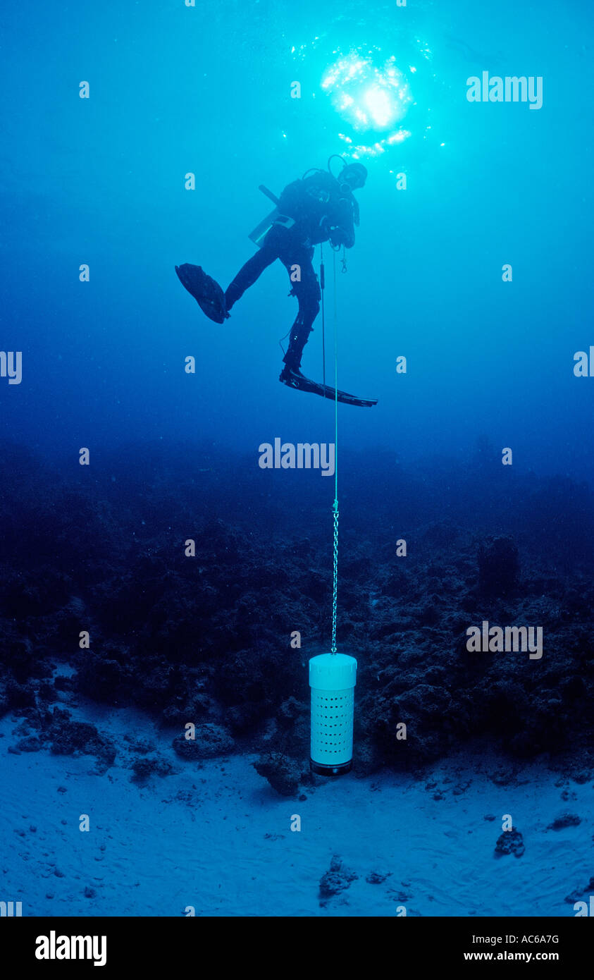 Shark baiting hi-res stock photography and images - Alamy