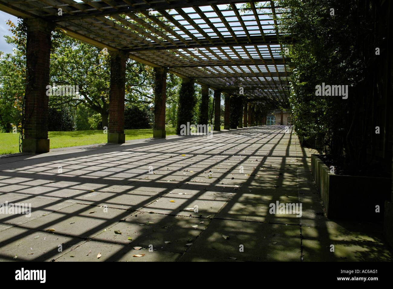 Trellis patterns hi-res stock photography and images - Alamy