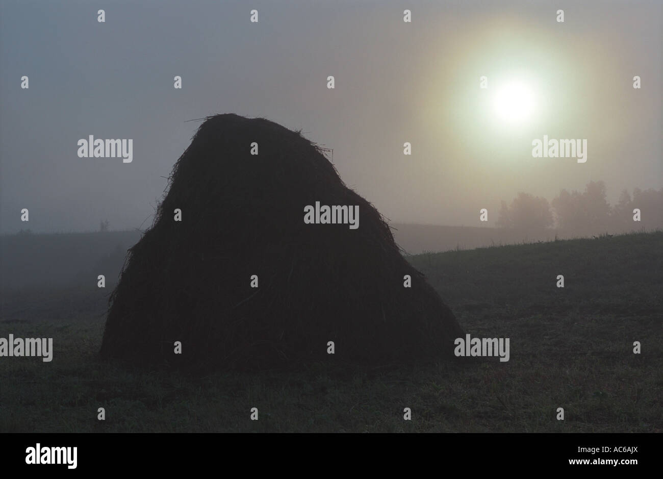 A haystack at sunrise. Altai. Siberia. Russia Stock Photo - Alamy