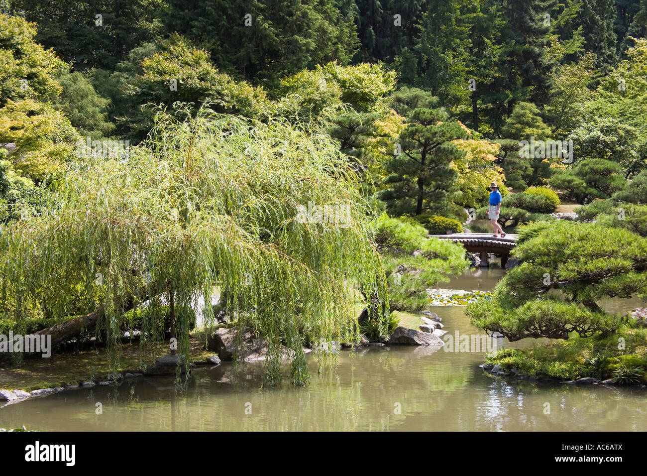 Visitor on the earthen bridge Dobashi in Seattle Japanese Garden ...