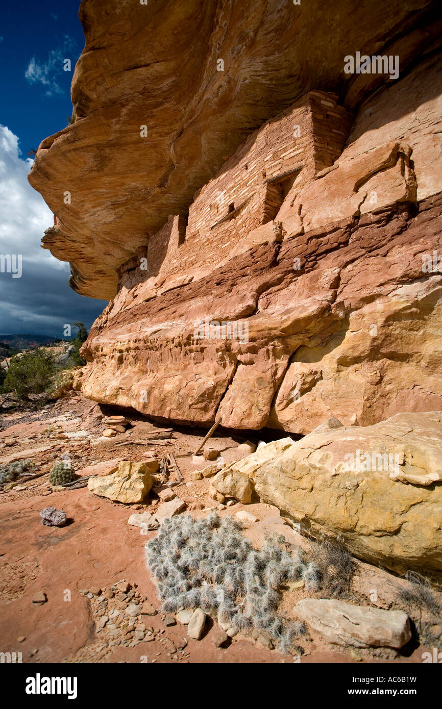 Indian ruins in North Fork of Mule Canyon Cedar Mesa area Utah United ...