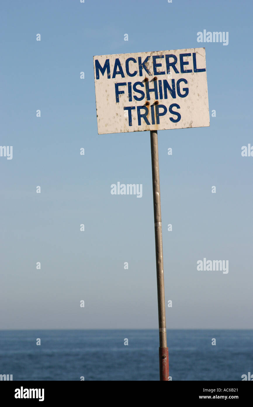 Mackerel fish devon hi-res stock photography and images - Alamy