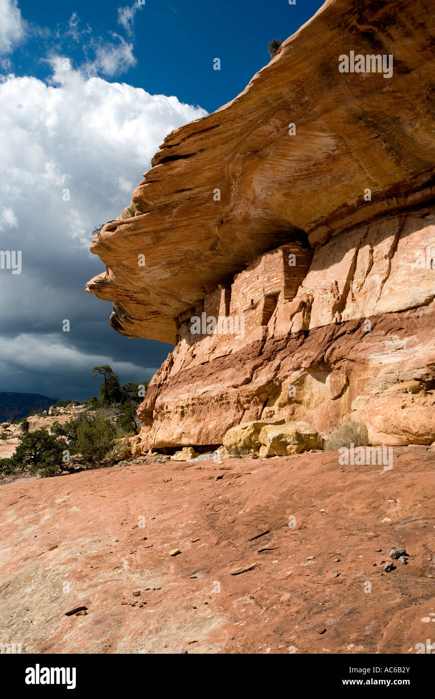 Indian ruins in North Fork of Mule Canyon Cedar Mesa area Utah United ...