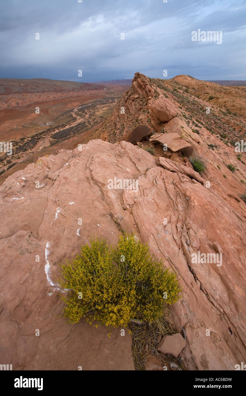 The view of Comb ridge looking North from a spot accessed from the San ...