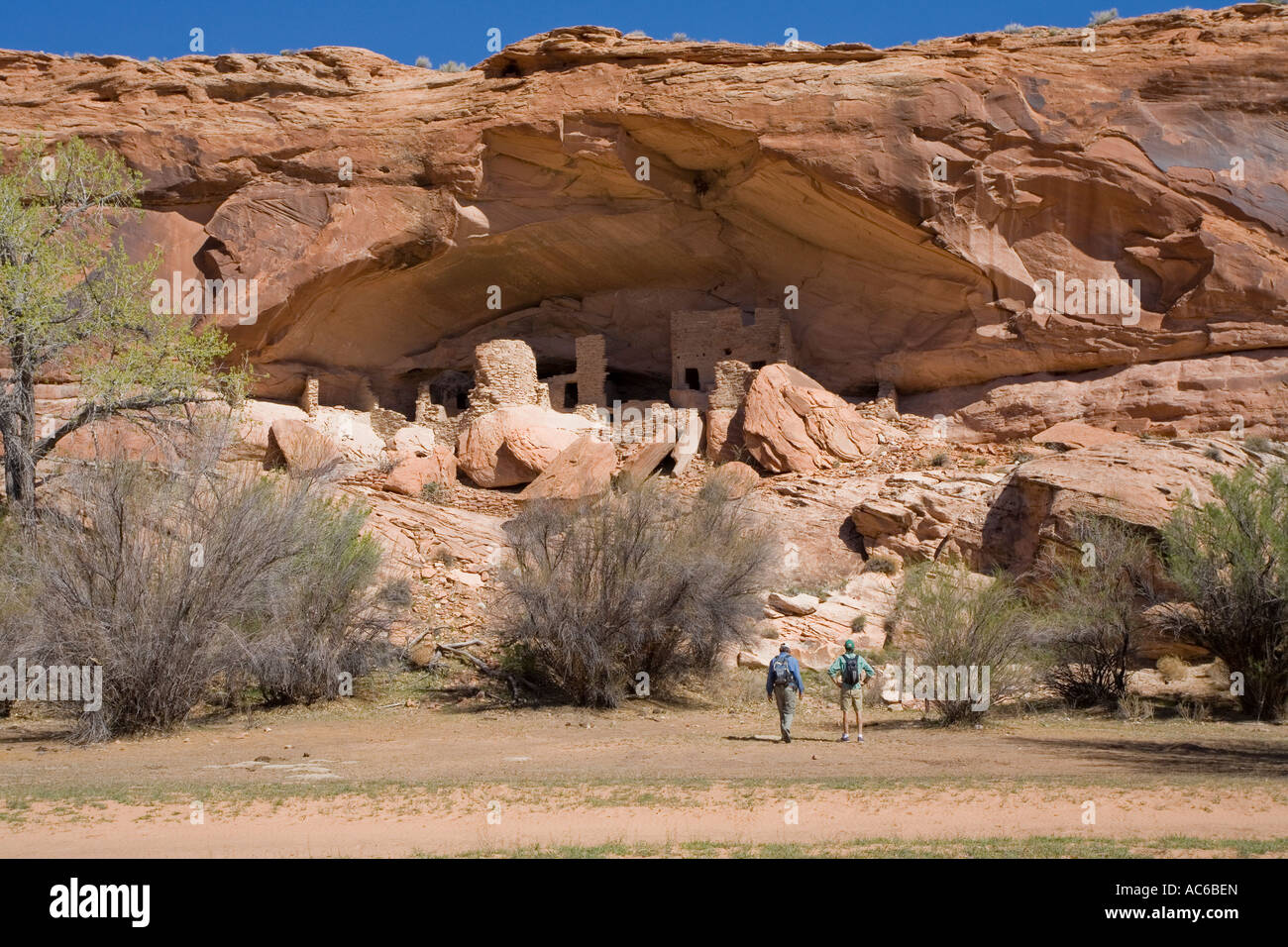 River House ruins along the San Juan river Utah United States Stock ...