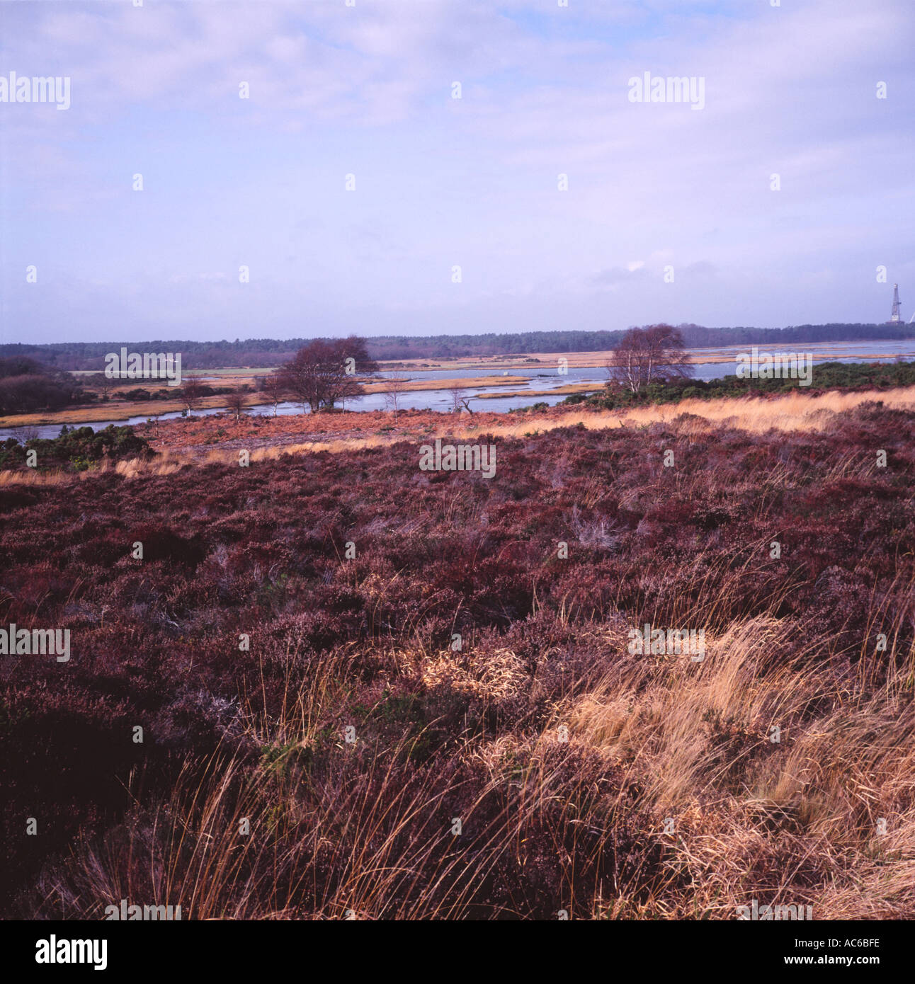 Wytch farm hi-res stock photography and images - Alamy