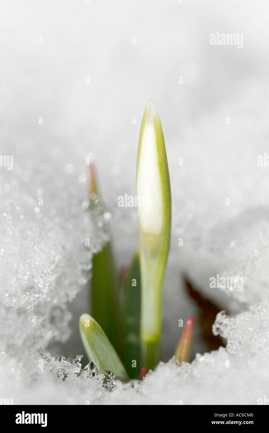 To break through the ice hi-res stock photography and images - Alamy