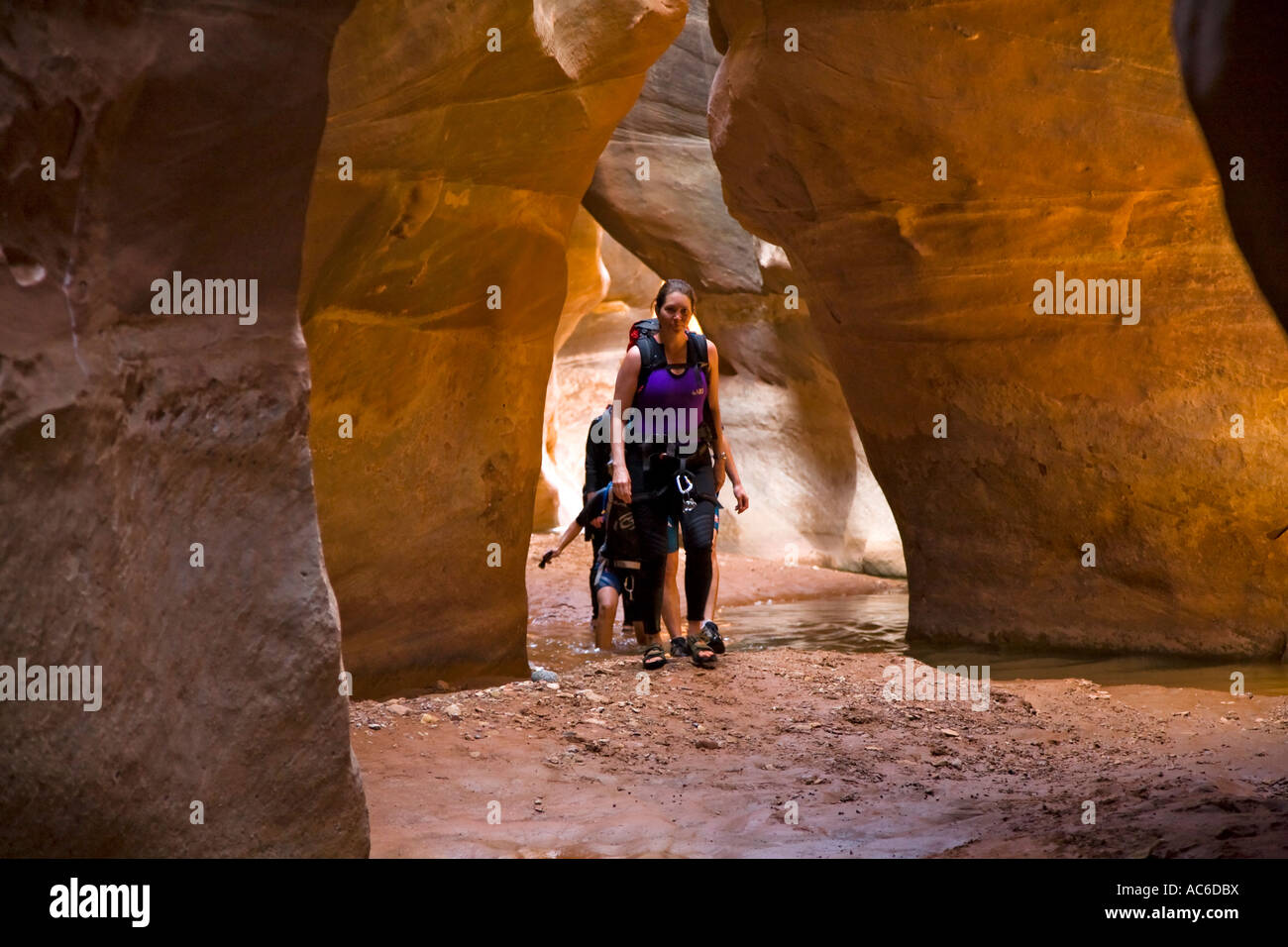 Anne Bogan and others hike through Fry Canyon Utah United States Stock ...