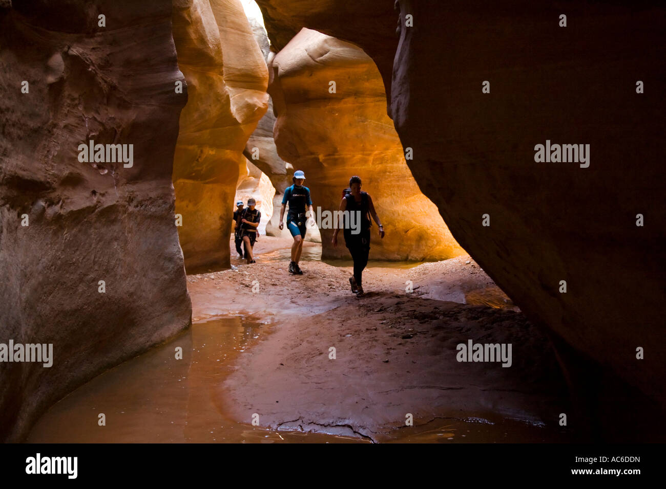 front to back Anne Bogan Peggy Boggs Kristi Jensen and Justin Bogan ...