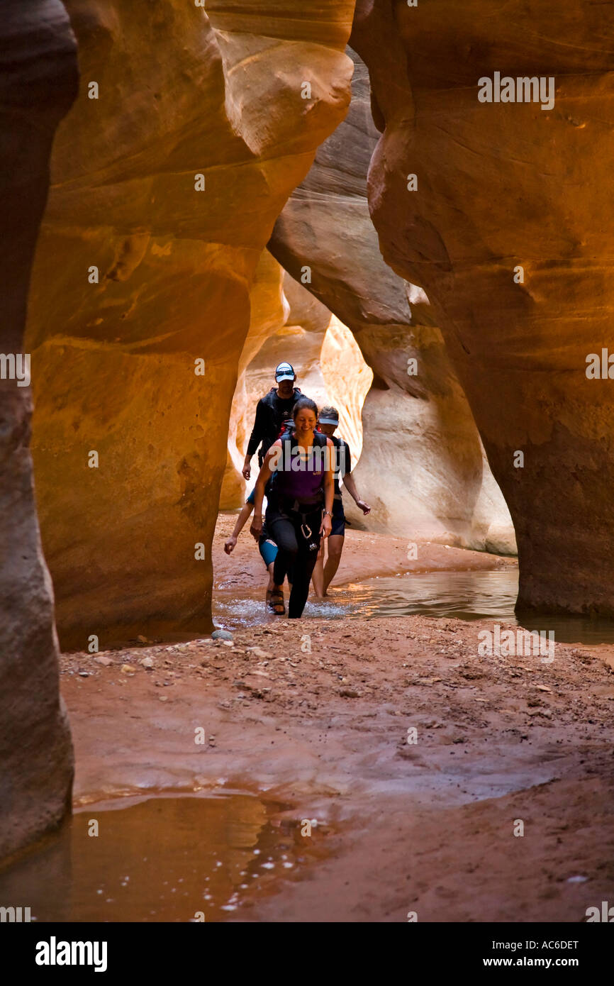 Bogan hi-res stock photography and images - Alamy