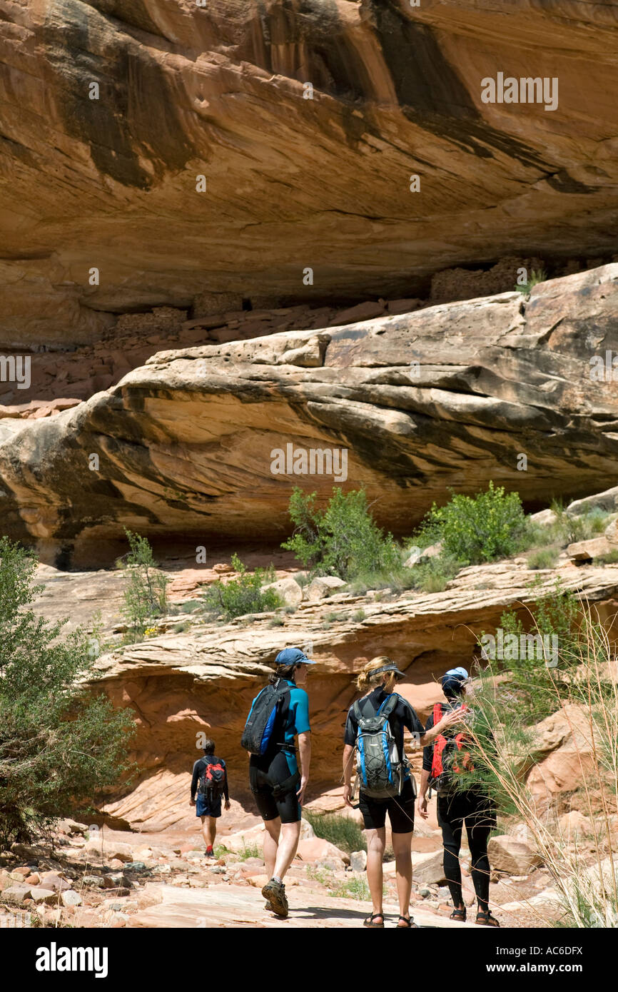 Mark Howe Peggy Boggs Kristi Jensen and Justin Bogan hiking down Fry ...