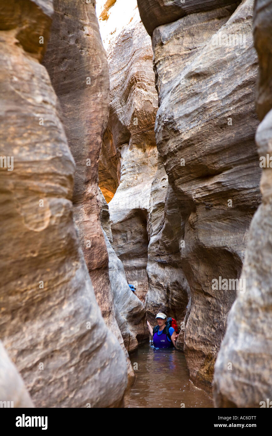 Anne Bogan wading through pools while canyoneering in Cheesebox Canyon ...