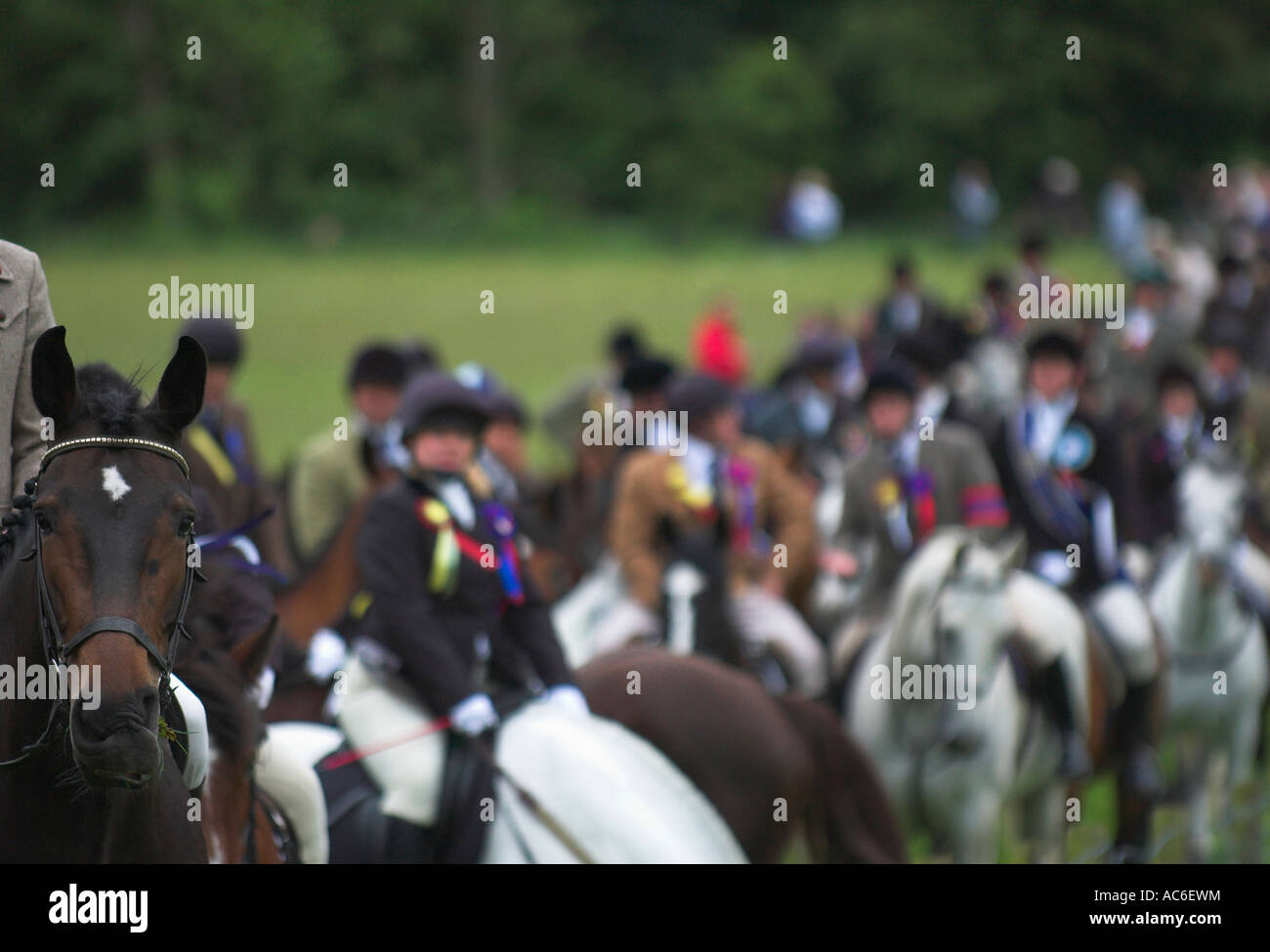 Selkirk Common Riding cavalcade follwoing the Standard Bearers riding ...