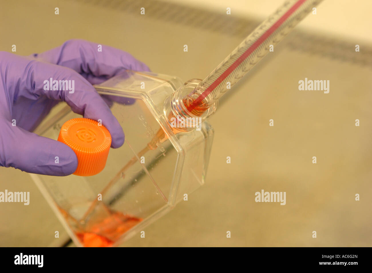 Chemistry and biochemistry -pipetting samples in the lab Stock Photo ...