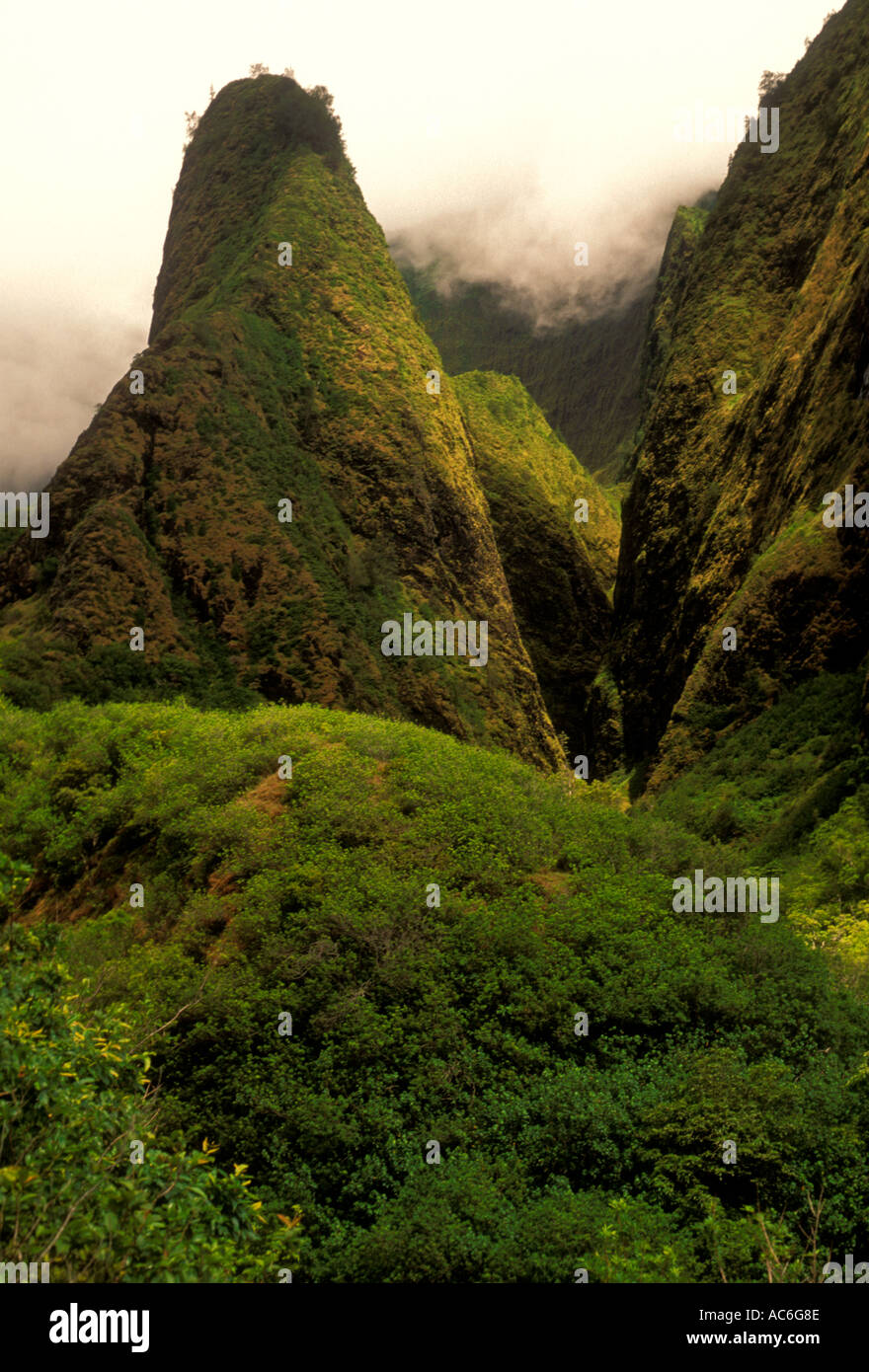 Iao Needle, Iao Valley, Iao Valley State Park, State Park, Maui Island ...