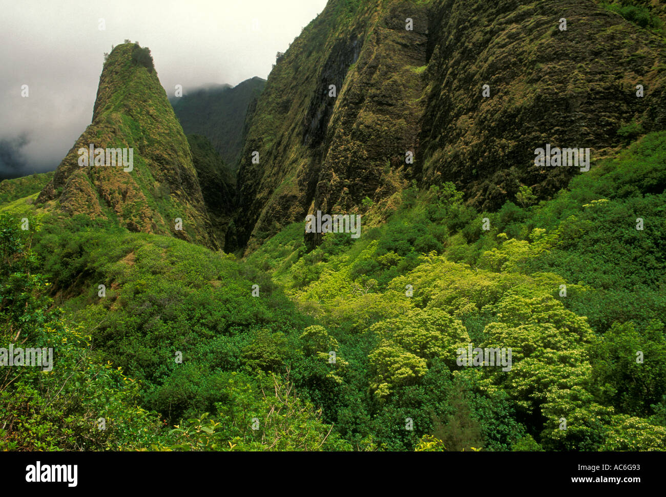 Iao Needle, Iao Valley, Iao Valley State Park, State Park, Maui Island ...