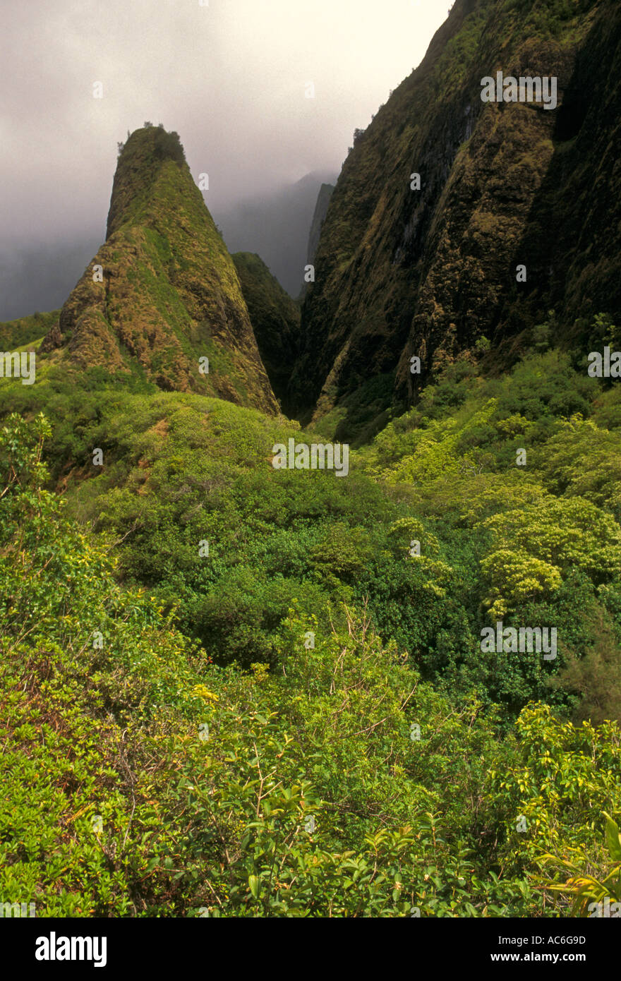 Iao Needle, Iao Valley, Iao Valley State Park, State Park, Maui Island ...