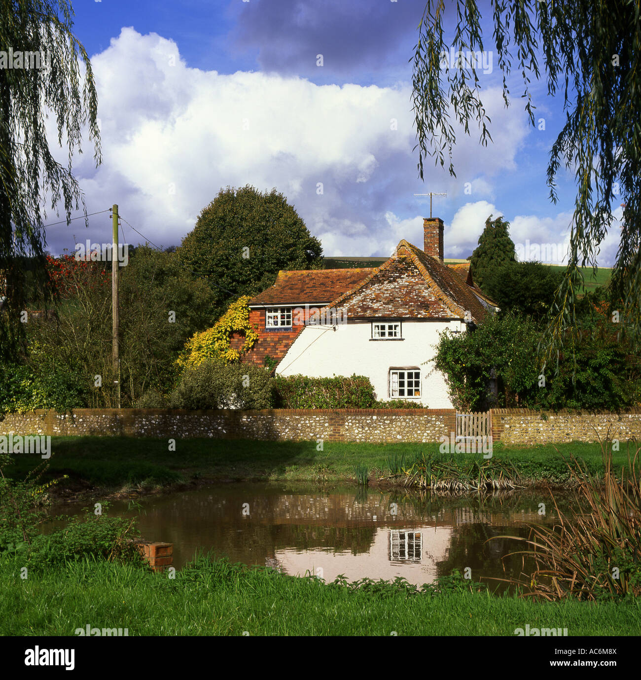 Village Pond with Whitewashed Cottage at East Dean in West Sussex ...