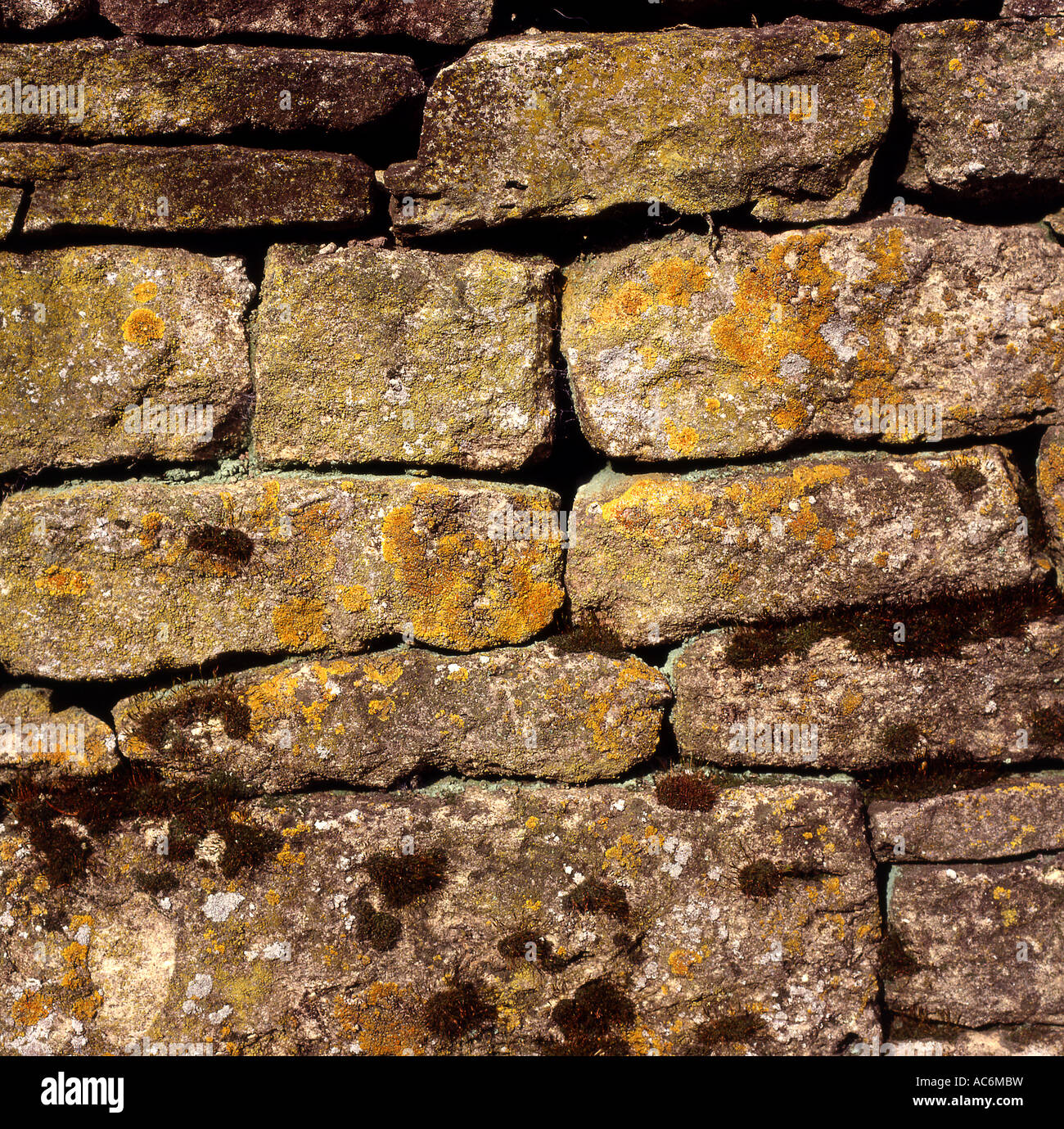 Cotswold stone wall texture hi-res stock photography and images - Alamy