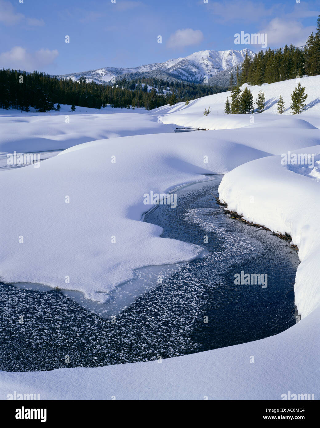 Sawtooth National Recreation Area, ID: Open ice snow covered banks of ...
