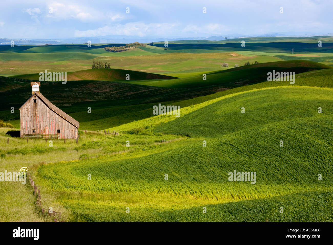 Barn in the Farmland of Eastern Washington Stock Photo - Alamy