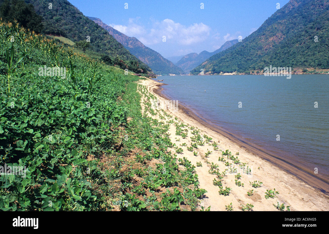 Papi hills hi-res stock photography and images - Alamy