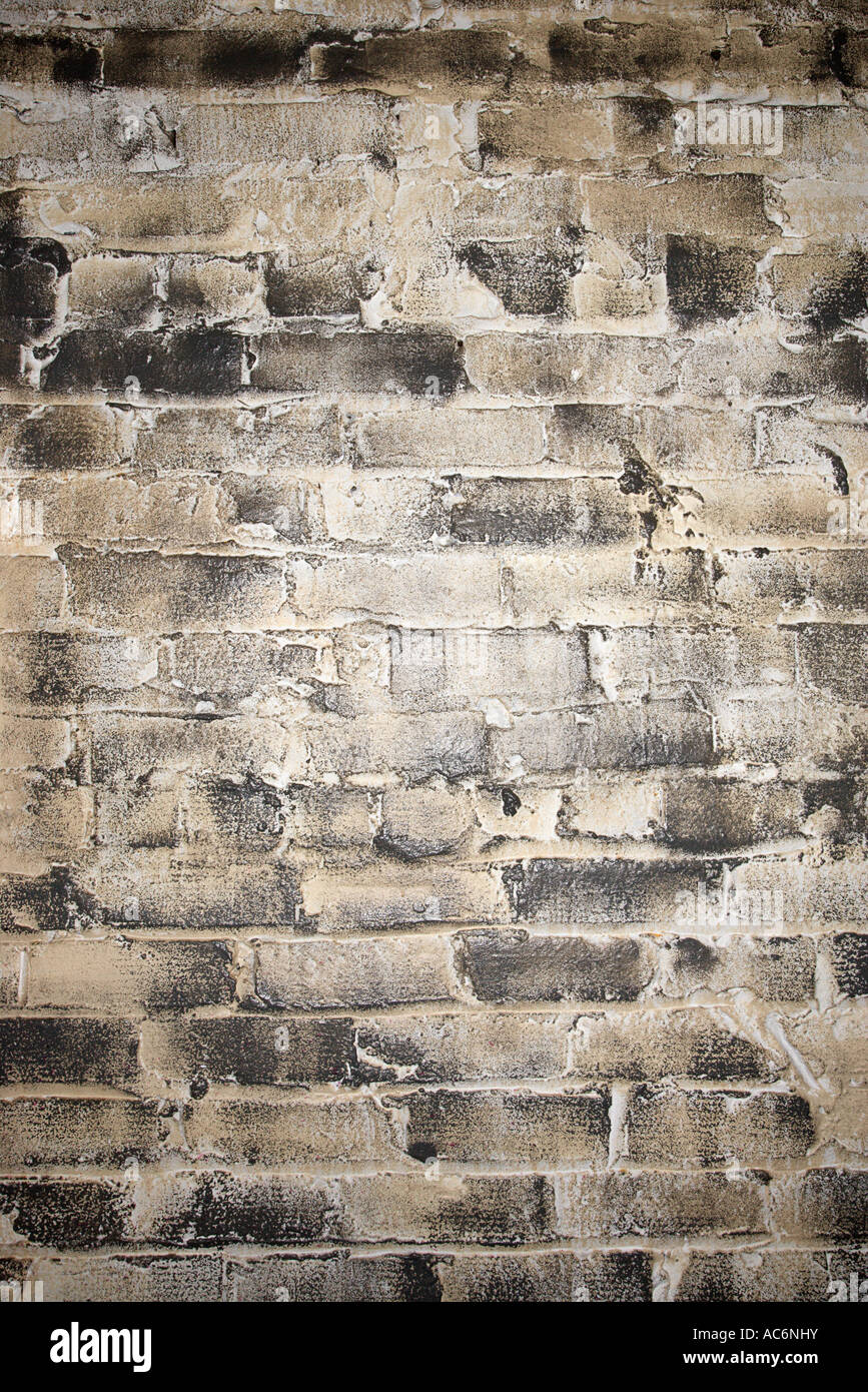 CLose up detail shot of brick wall Stock Photo - Alamy
