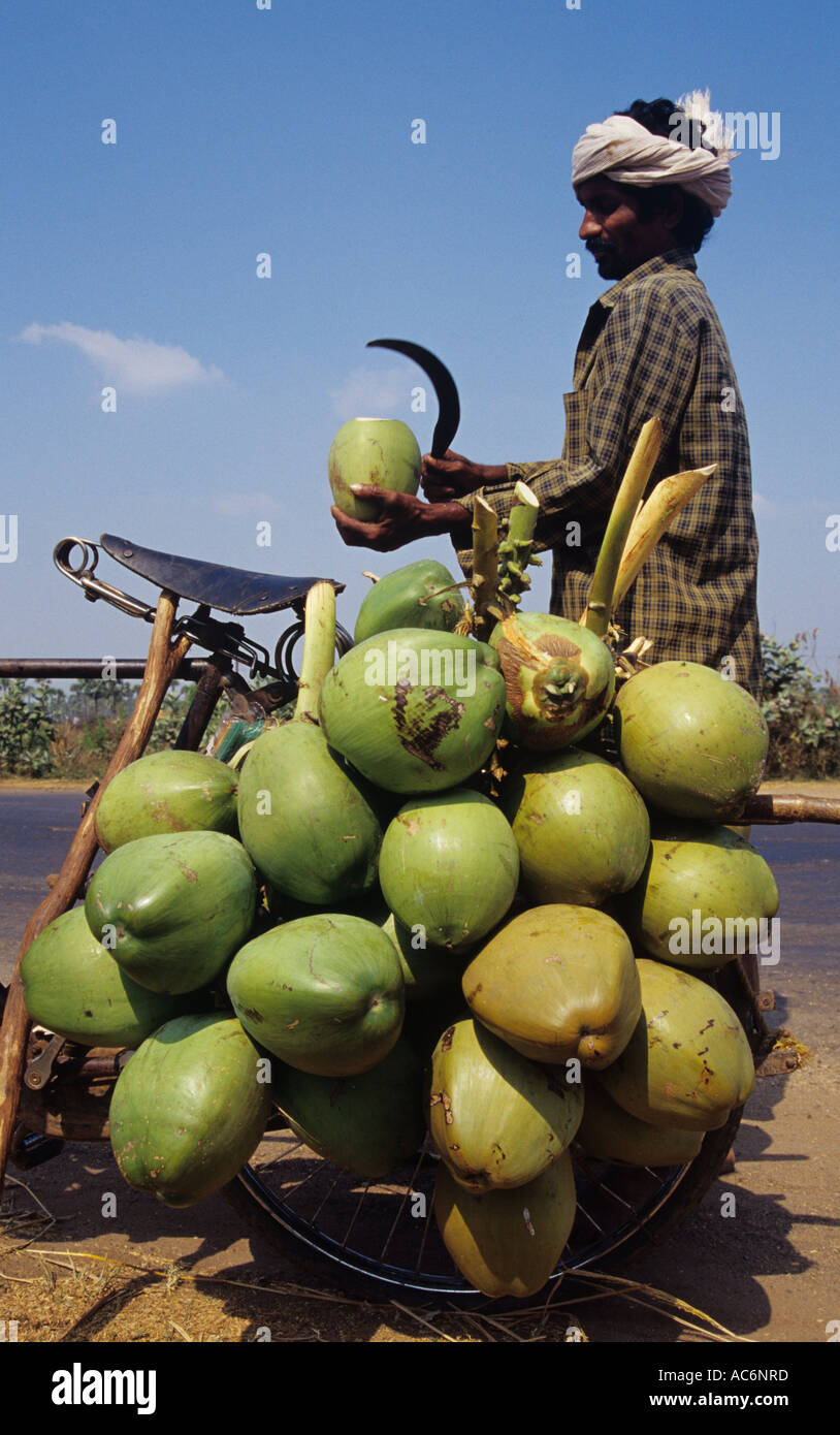 Tender coconuts hi-res stock photography and images - Alamy