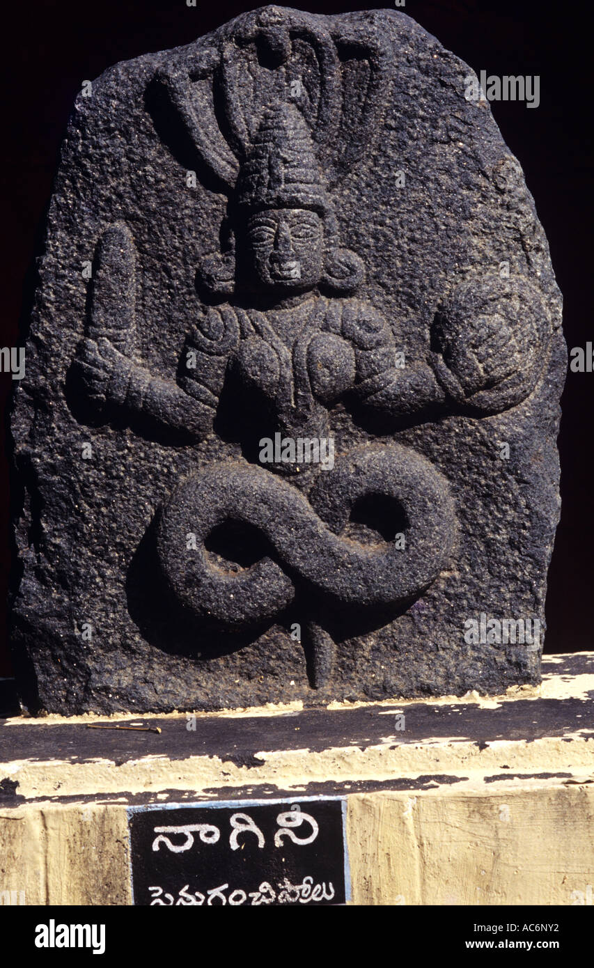 FIGURE OF NAGINI IN STATE MUSEUM VIJAYAWADA ANDHRA PRADESH Stock Photo ...