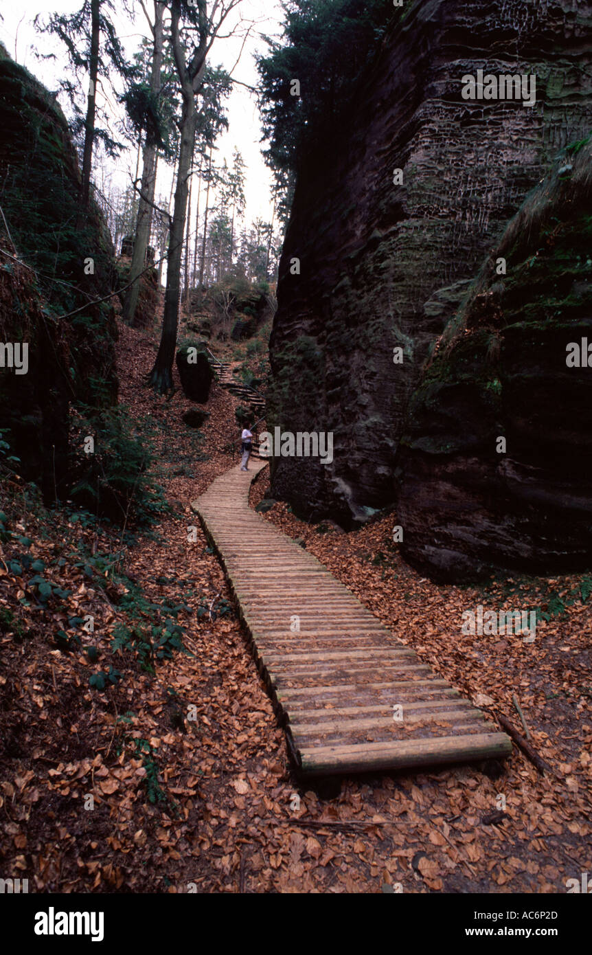 Wooden pathway in Bohemian Paradise Cesky Raj nature reserve Czech ...