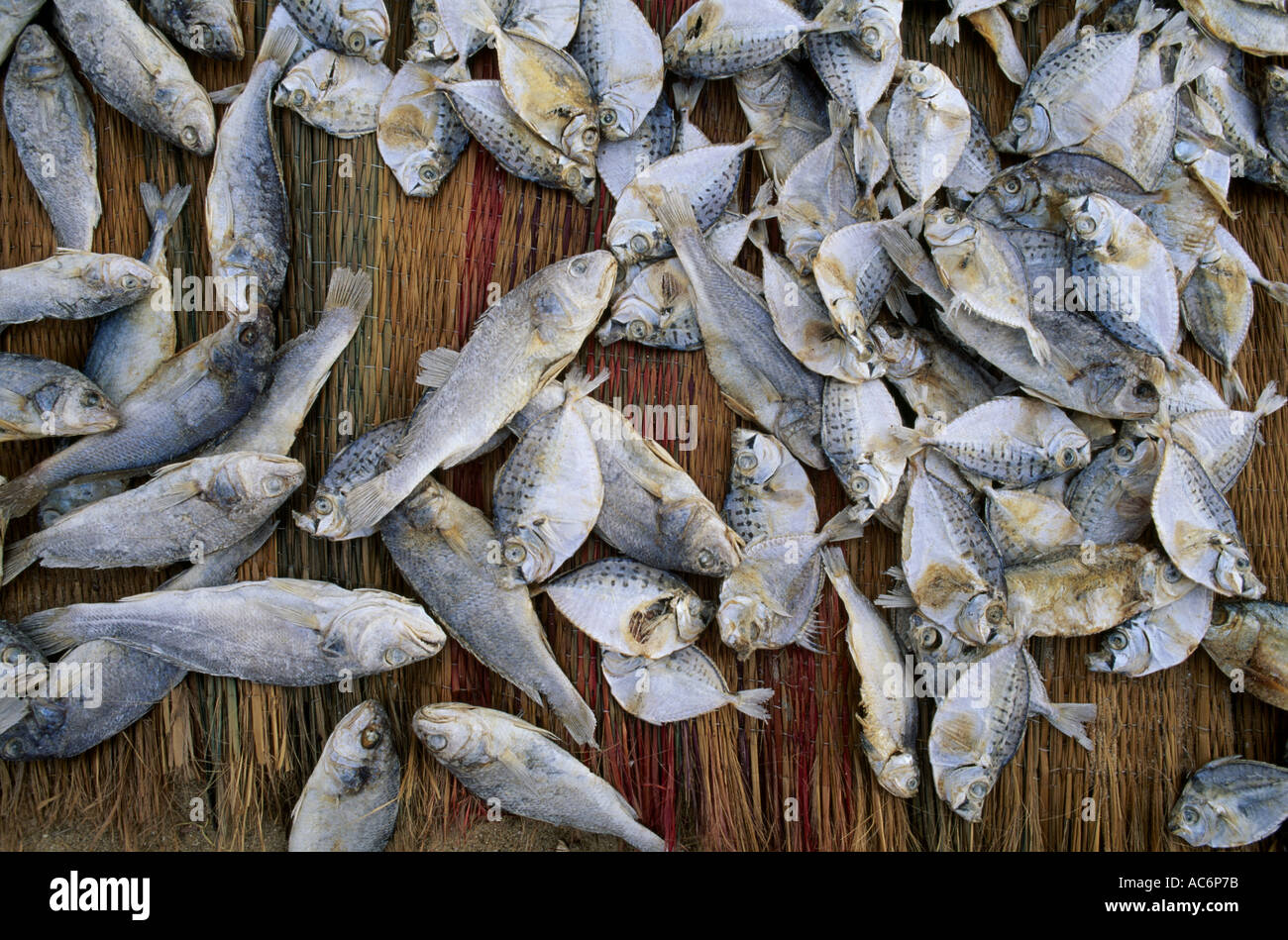 Fishes Mapusa Goa India Stock Photo - Alamy