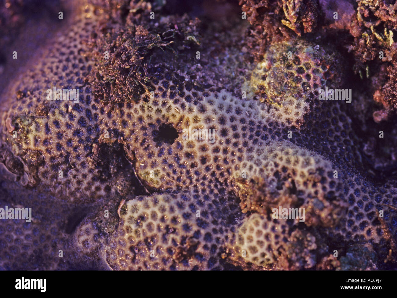 Andrott island hi-res stock photography and images - Alamy