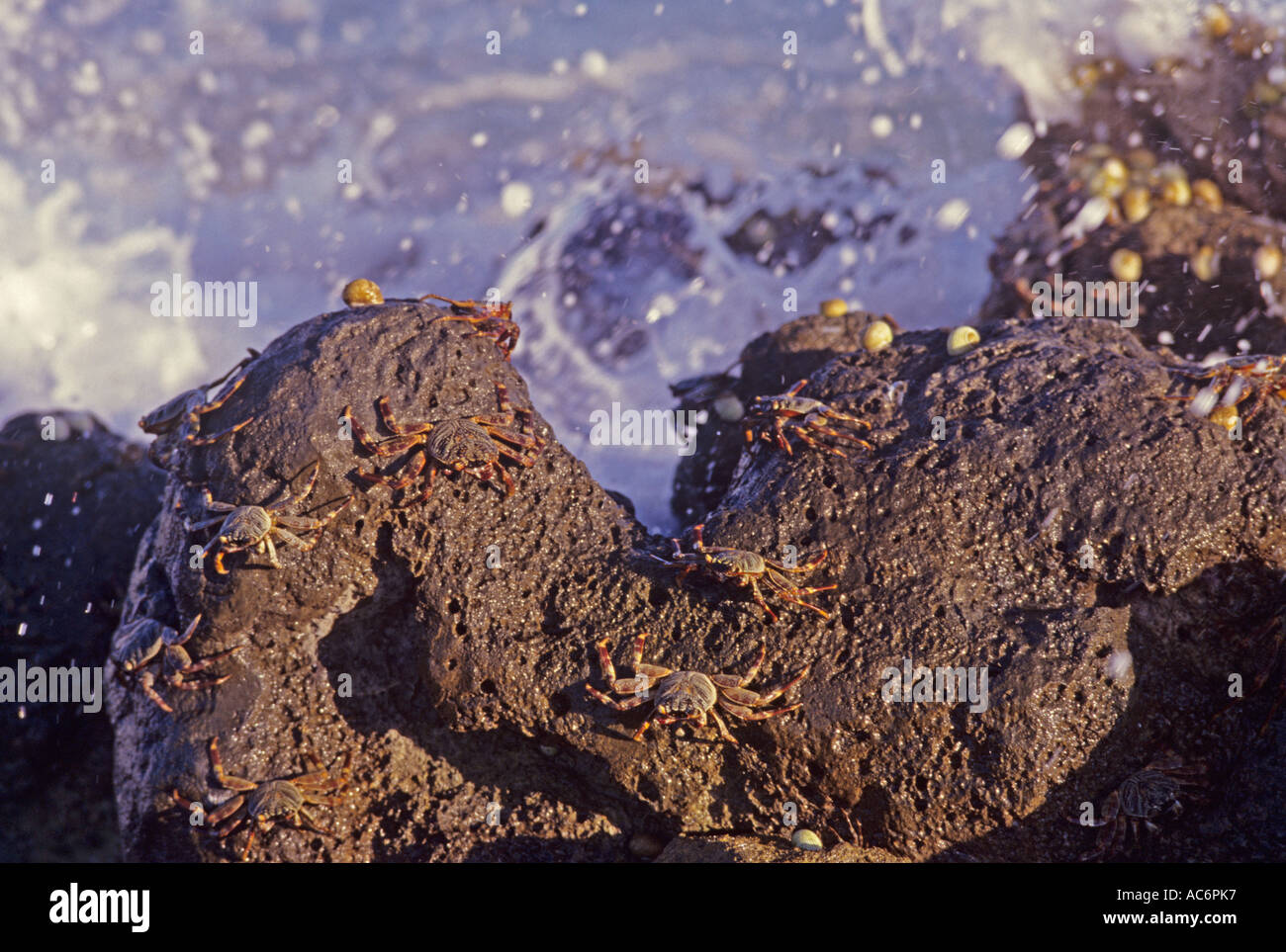 Andrott island hi-res stock photography and images - Alamy